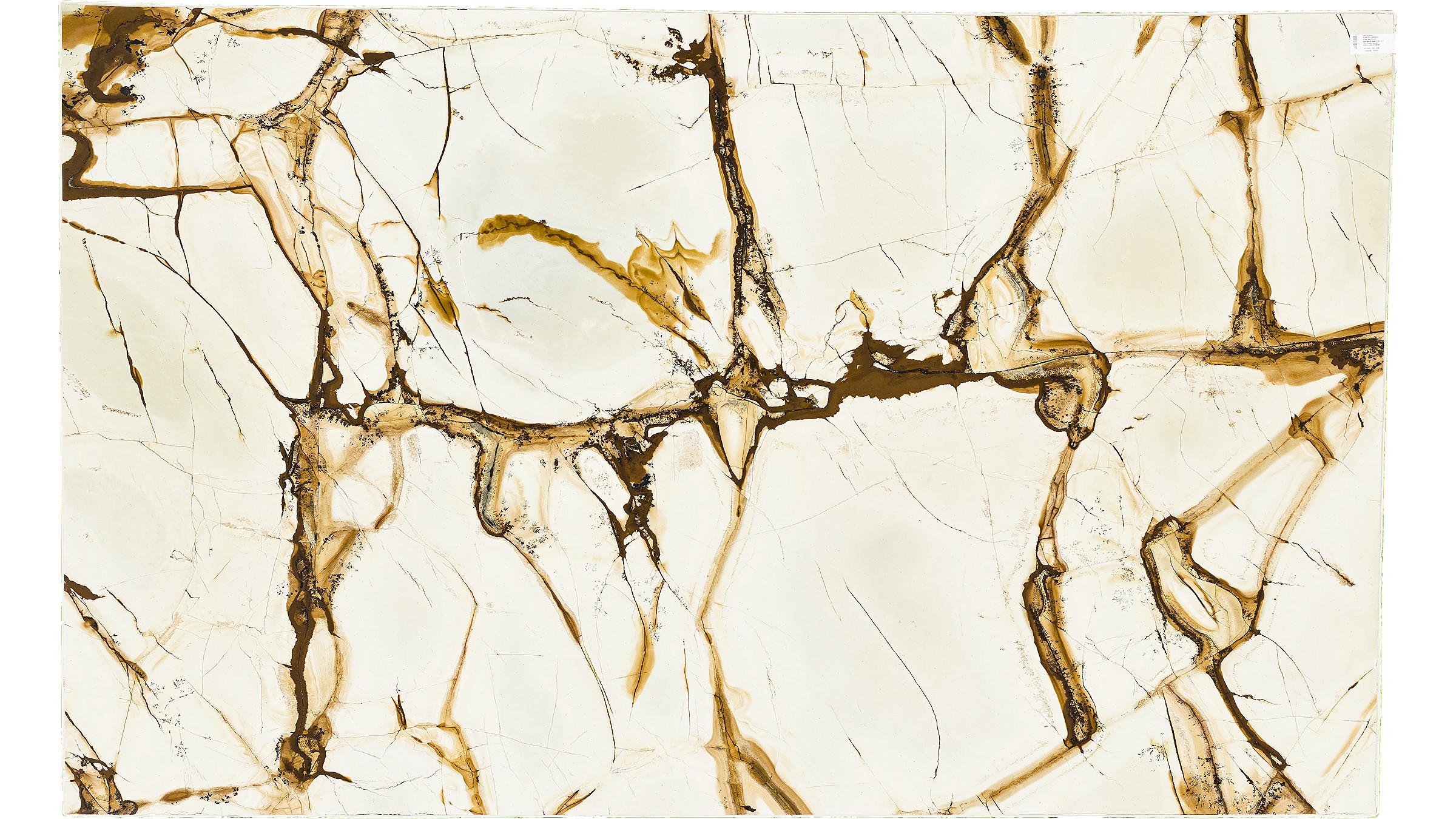 Roma Imperiale Quartzite Countertops in Atlanta, Charlotte, and Charleston