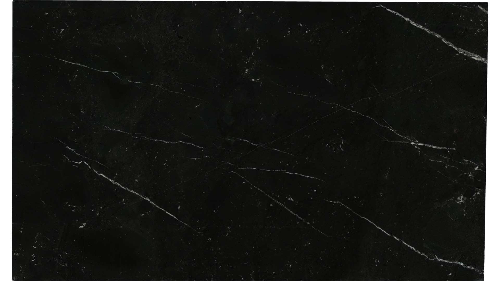 Infinity Black Quartzite Countertops in Raleigh, NC | Mogastone