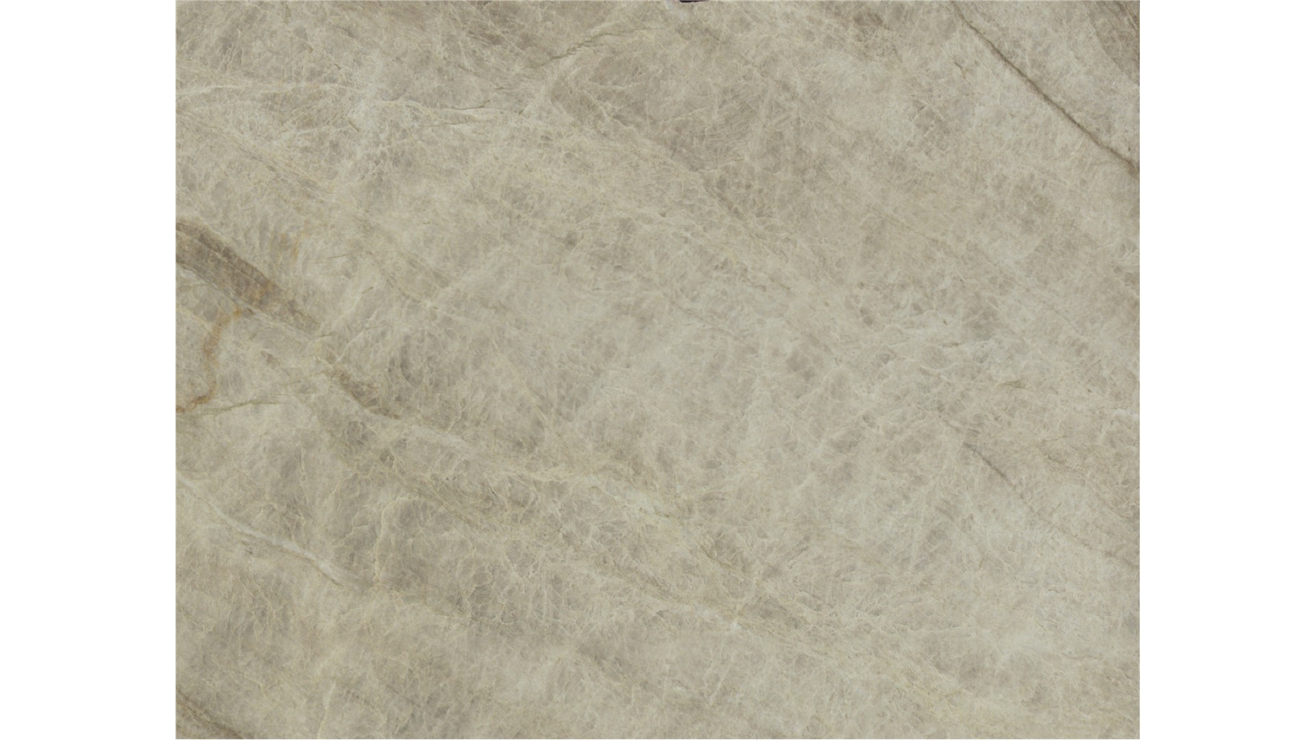 Taj Mahal Leather Quartzite Countertops in Raleigh, NC | Mogastone