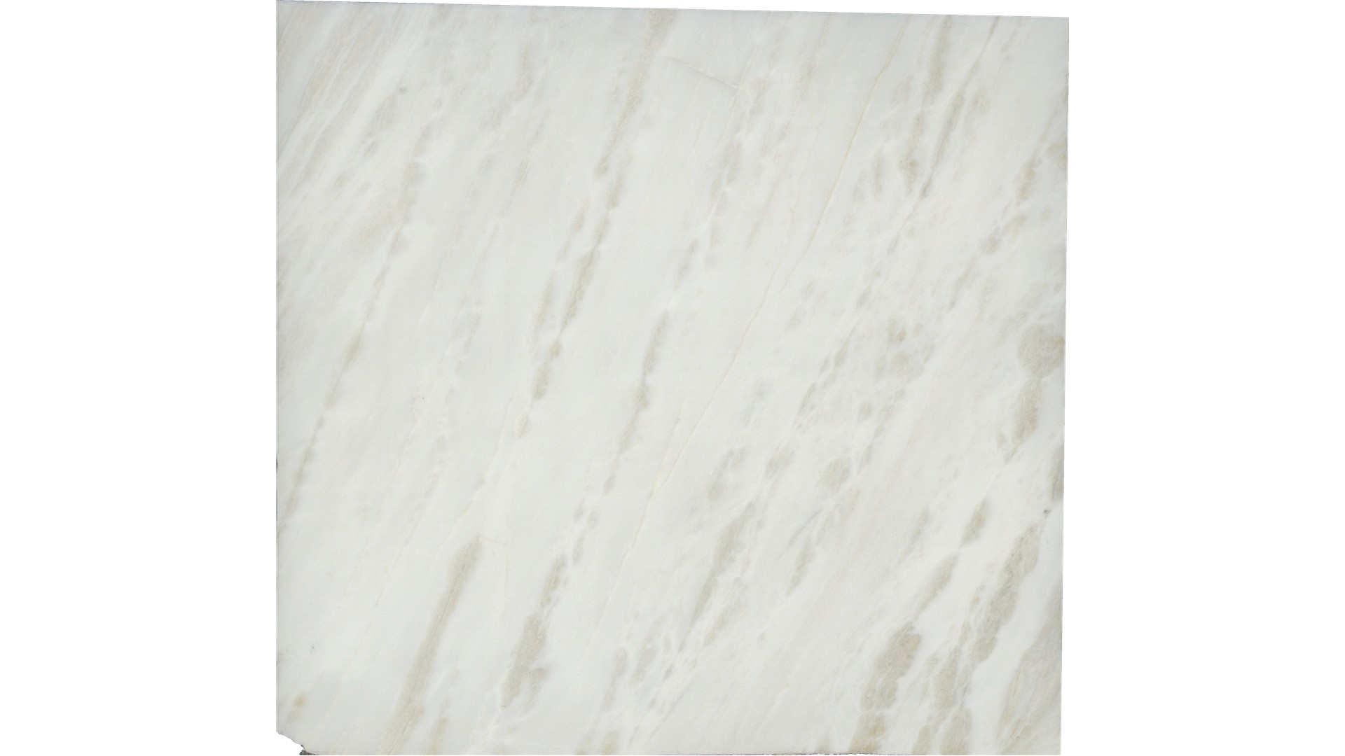 White Rhino Marble Countertops in Raleigh, NC | Mogastone