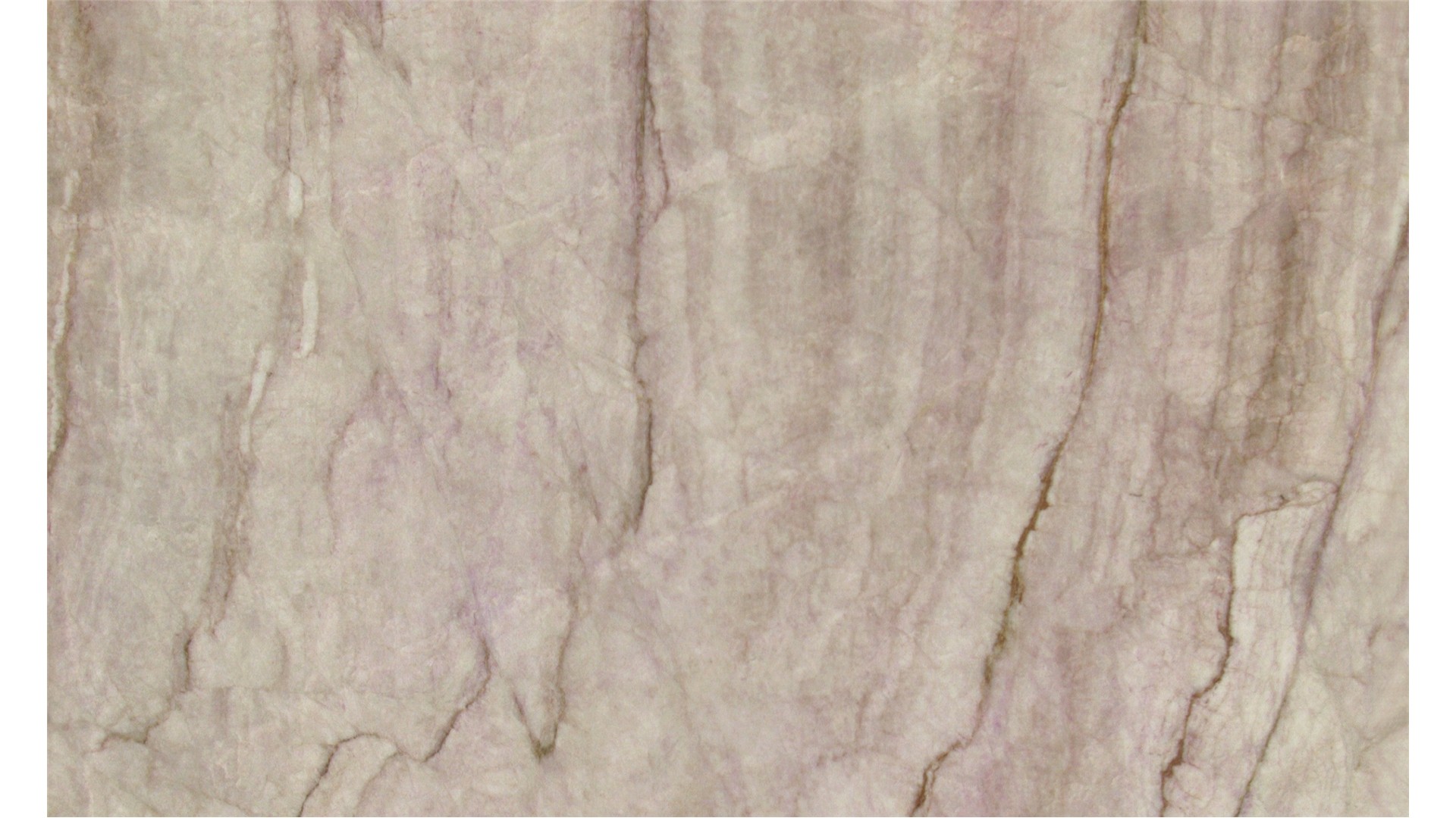 Taj Mahal Porcelain, Quartzite Countertops in Raleigh, NC | Mogastone