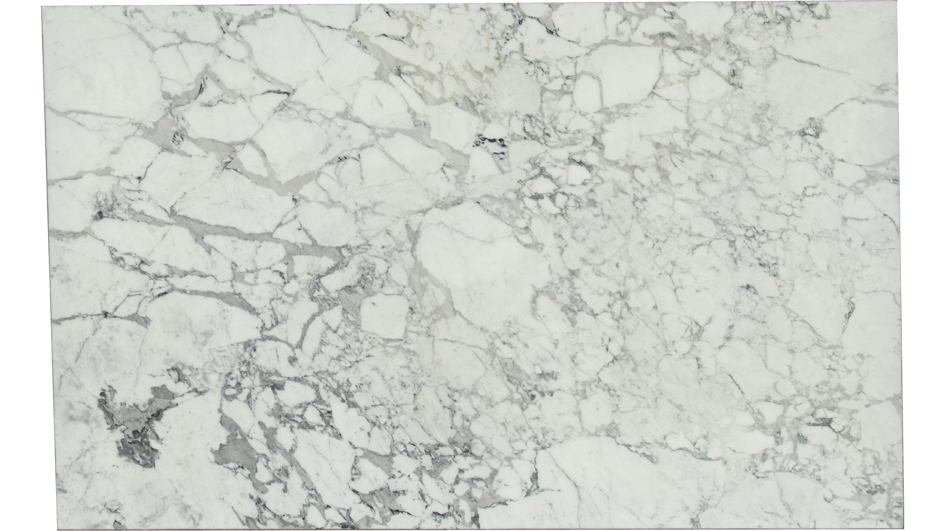 Breccia Capraia Marble Countertops in Raleigh, NC | Mogastone