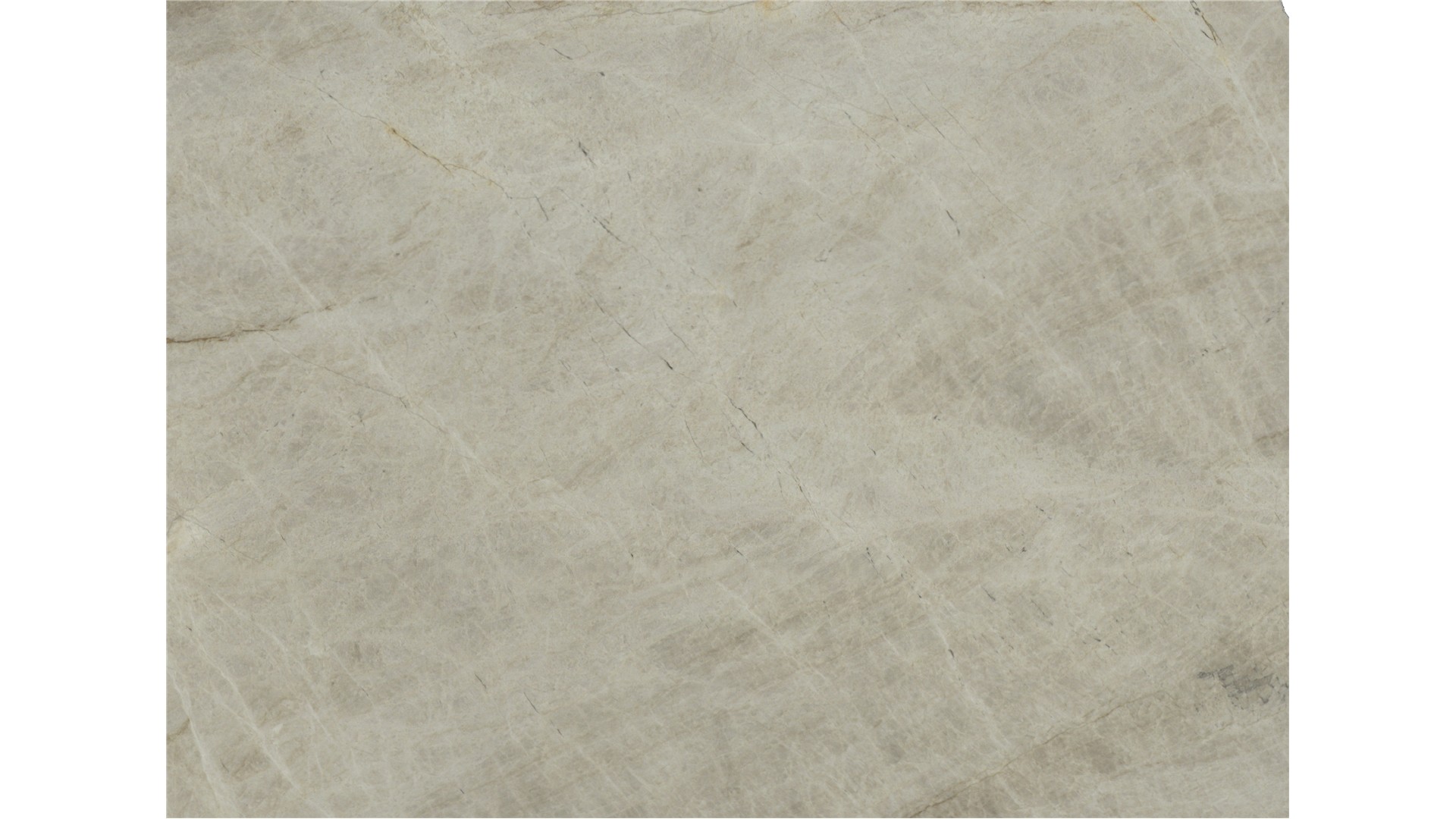 Taj Mahal Porcelain, Quartzite Countertops in Raleigh, NC | Mogastone