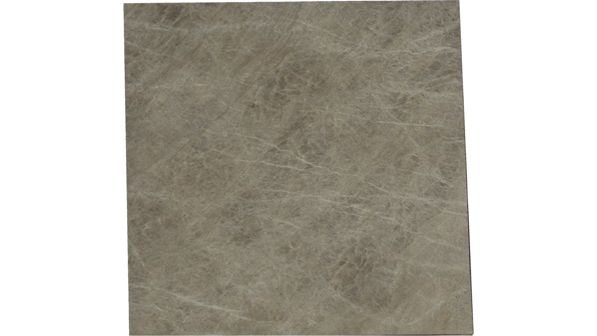 Taj Mahal Leather Quartzite Countertops in Raleigh, NC | Mogastone